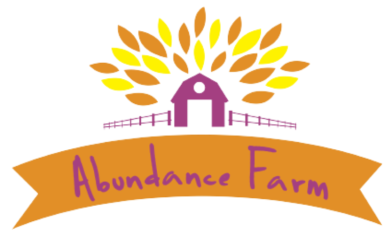 Farming for Abundance – Abundance Farm
